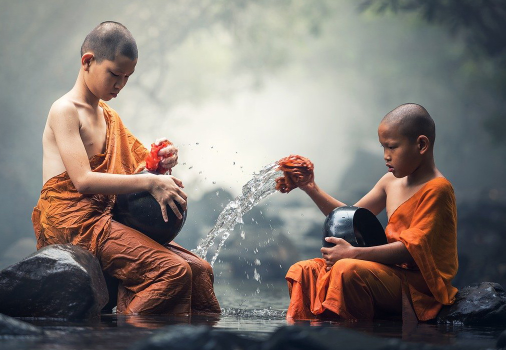 Shaping Tomorrow - Newsletter