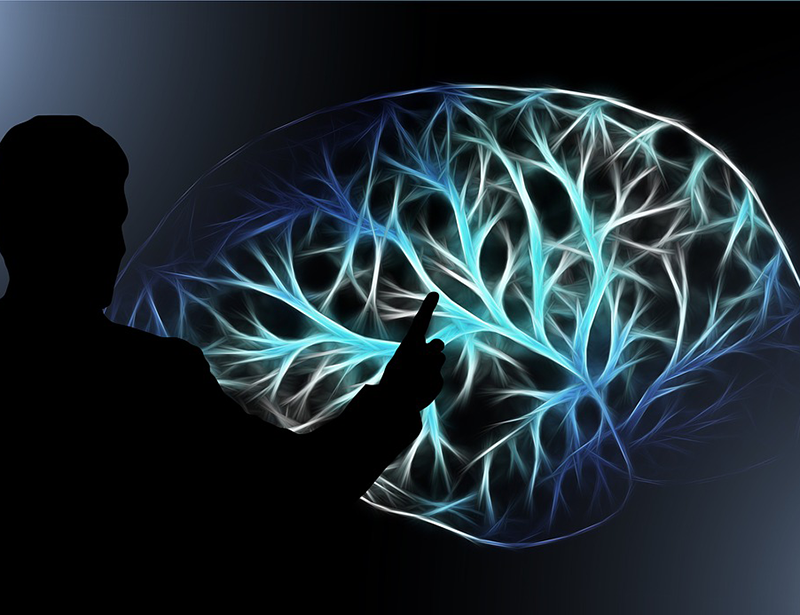 Shaping Tomorrow - Newsletter